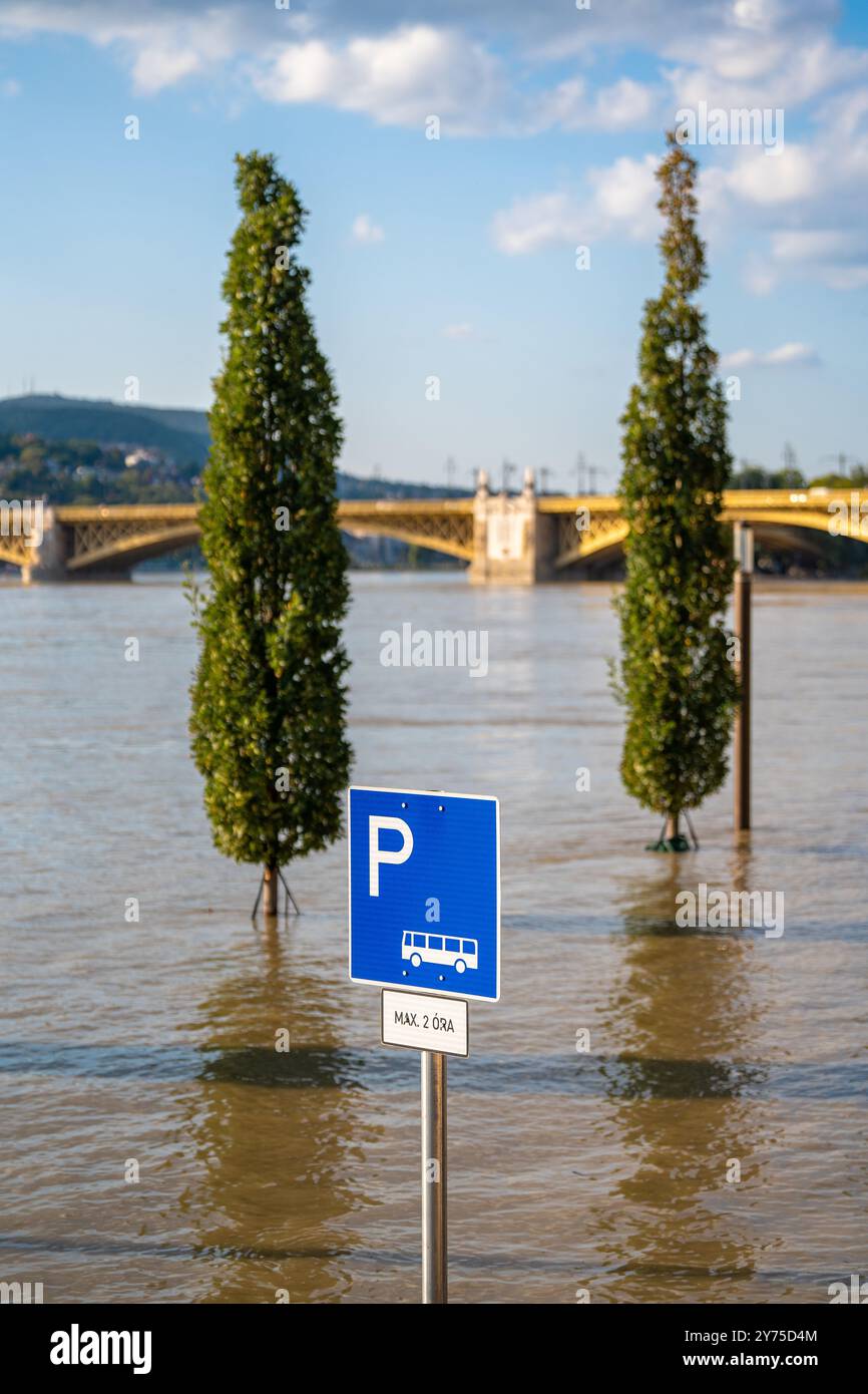 Treesinwater hi-res stock photography and images - Alamy
