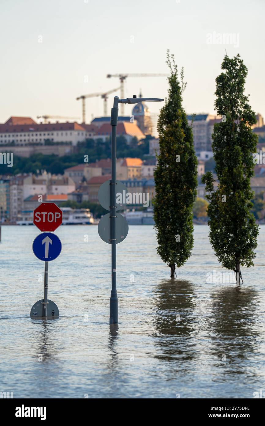 Budapest, Hungary - September 19, 2024: Flooded Trees and Road Signs in ...
