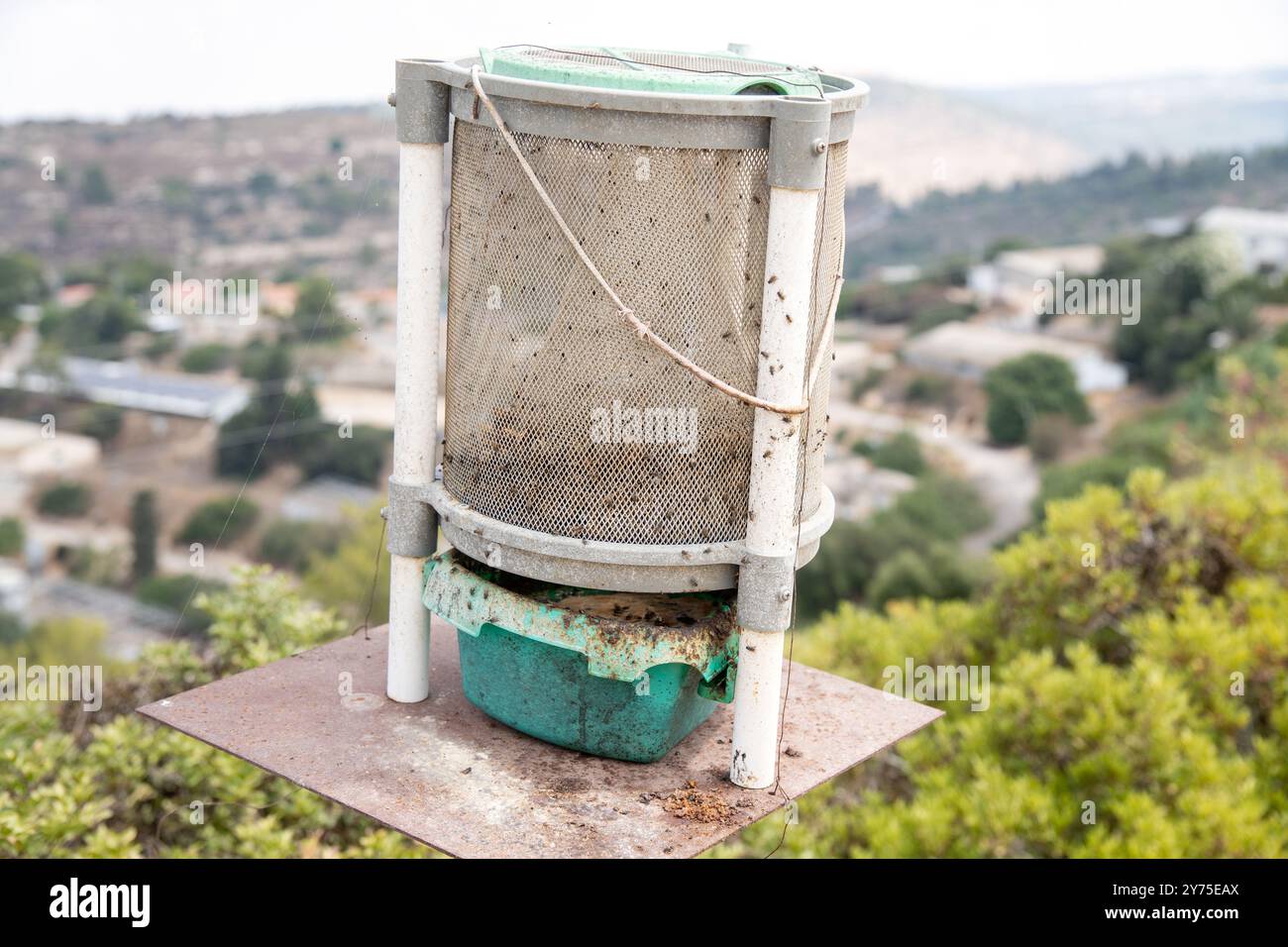 Outdoor trap for flies and other insects in Israel Stock Photo - Alamy