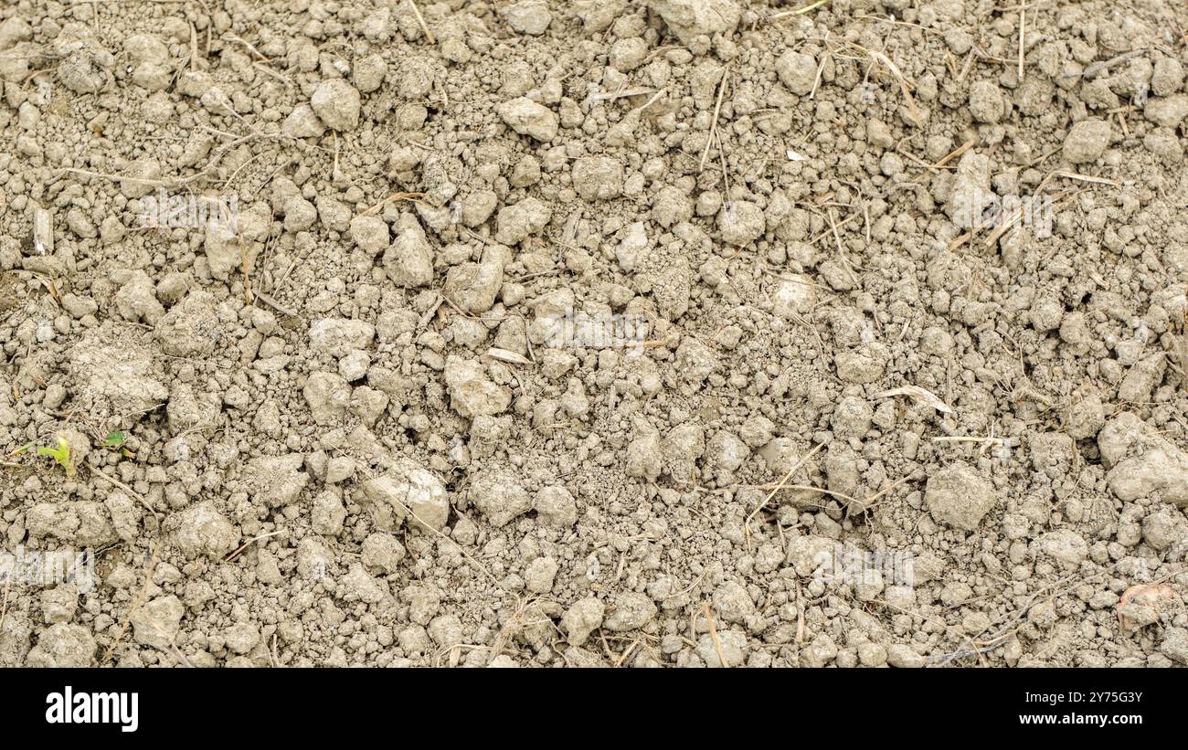 Bangladesh field. Cropland soil. Fine-grained soil creates an artistic ...