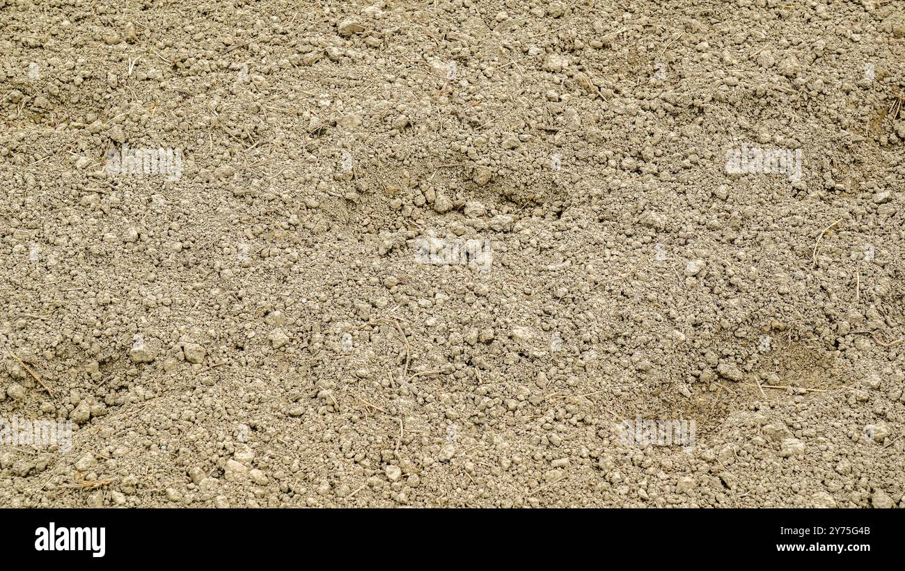 Bangladesh field. Cropland soil. Fine-grained soil creates an artistic ...