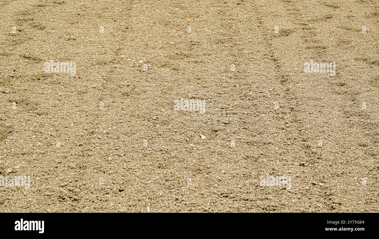 Bangladesh field. Cropland soil. Fine-grained soil creates an artistic ...
