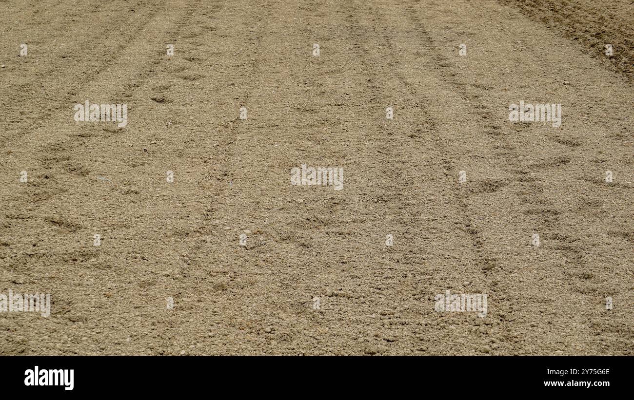 Bangladesh field. Cropland soil. Fine-grained soil creates an artistic ...