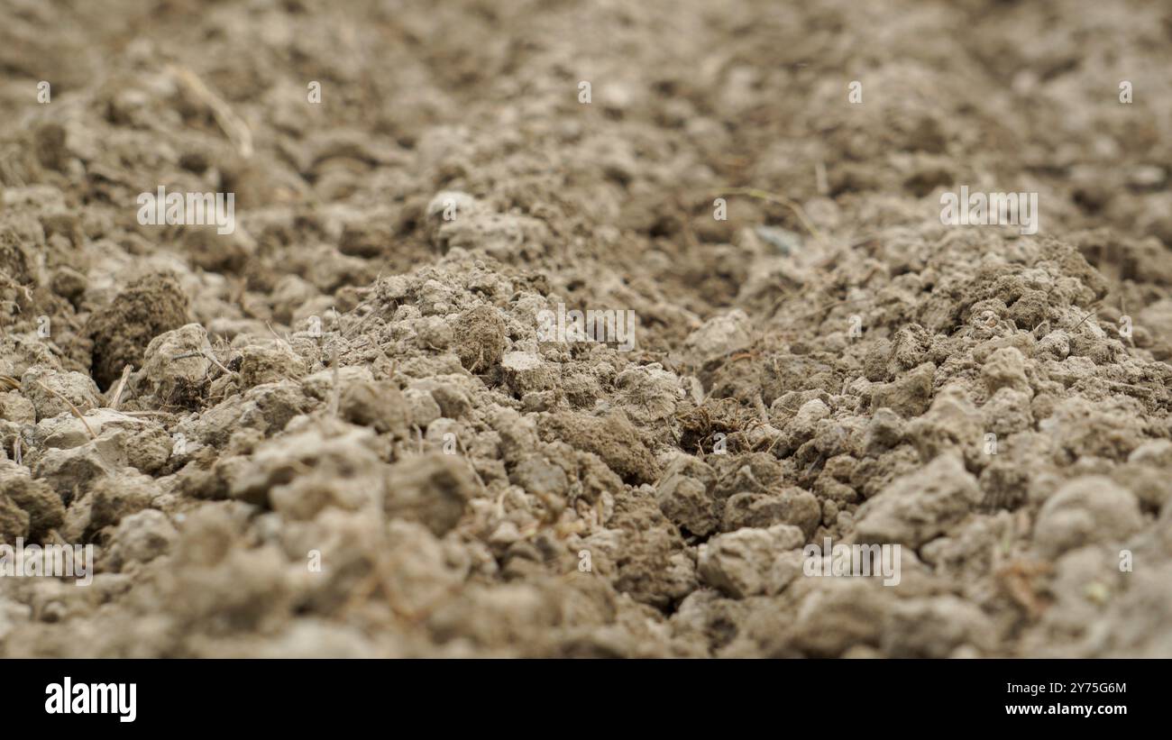 Bangladesh field. Cropland soil. Fine-grained soil creates an artistic ...