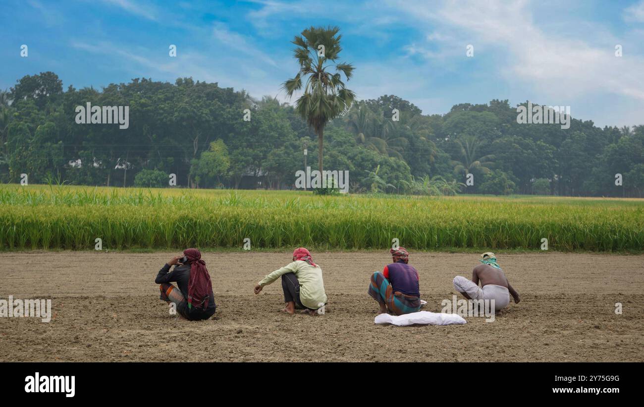 Farmers of Bangladesh in Asia. Some farmers are planting organisms on ...