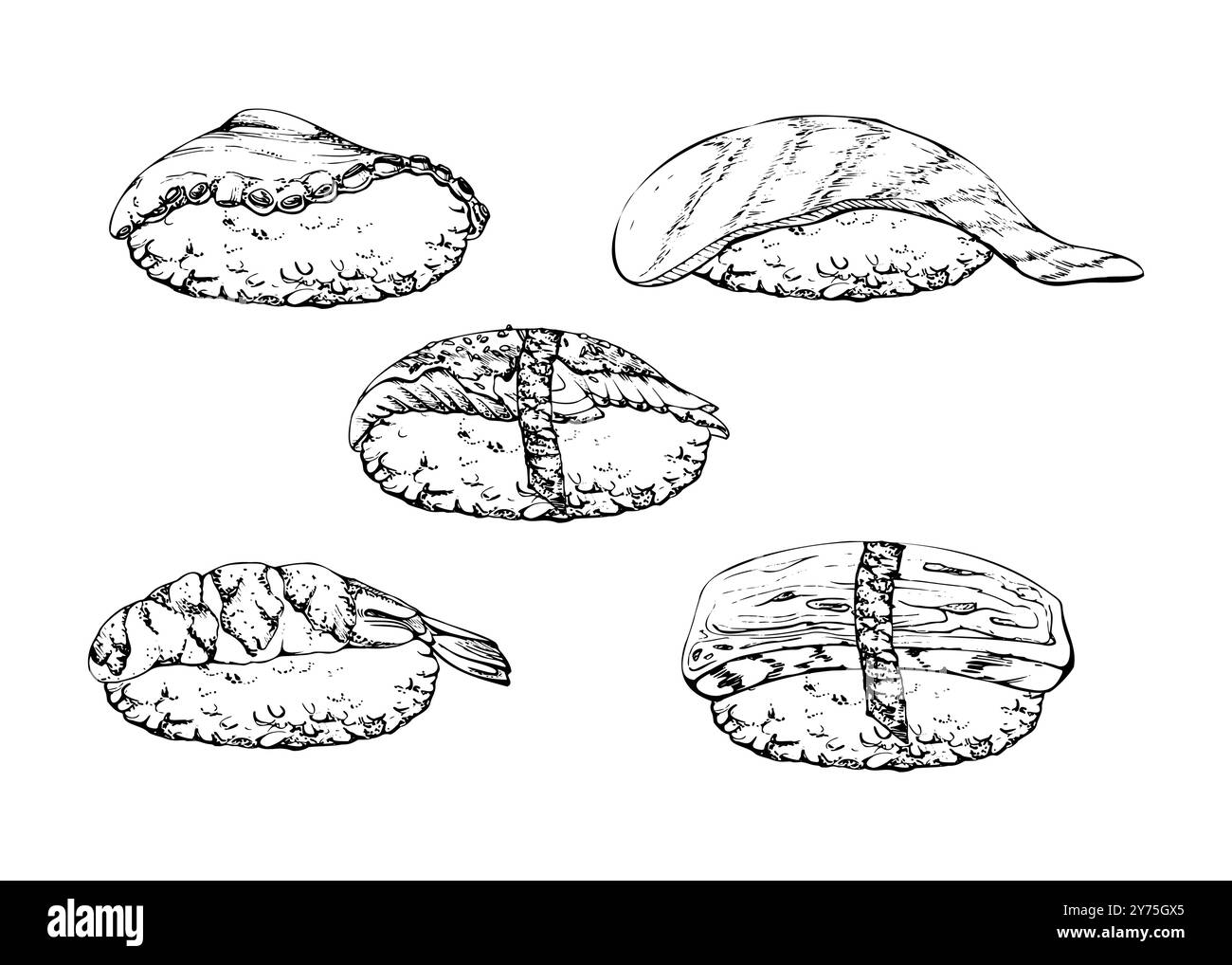 Traditional Japanese food, nigiri sushi with raw fish tuna salmon unagi ...