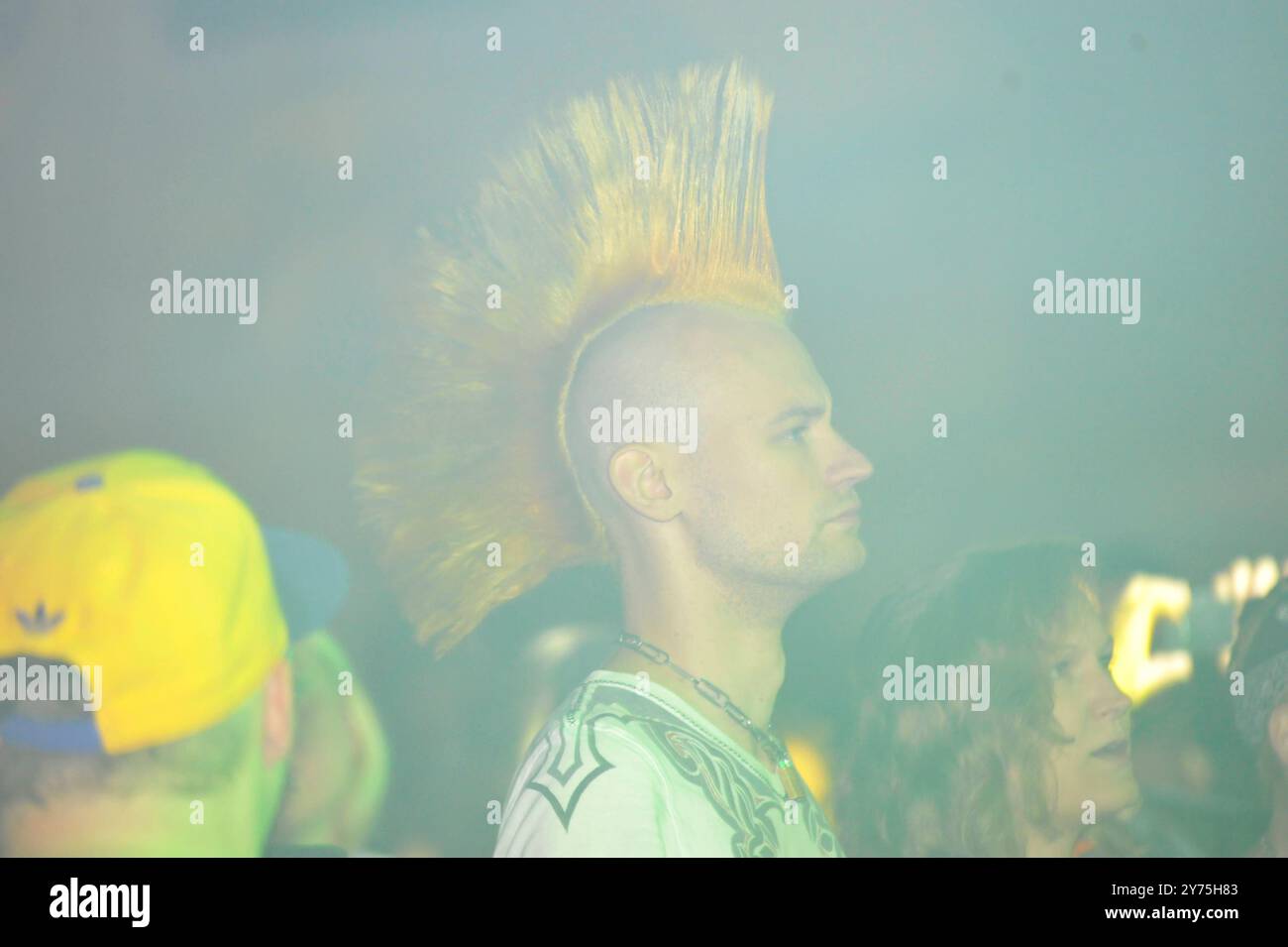 the hairstyle of a human being, hairs on the head hairstyle of a human ...