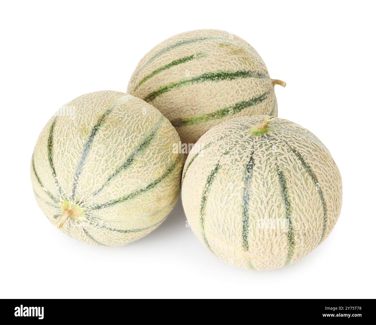 Three whole Cantaloupe melons isolated on white Stock Photo - Alamy