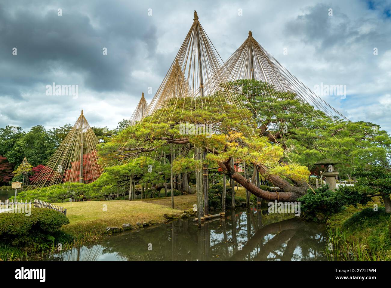 Typical Yukitsuri, snow protection for pine trees in Kenrokuen park in ...