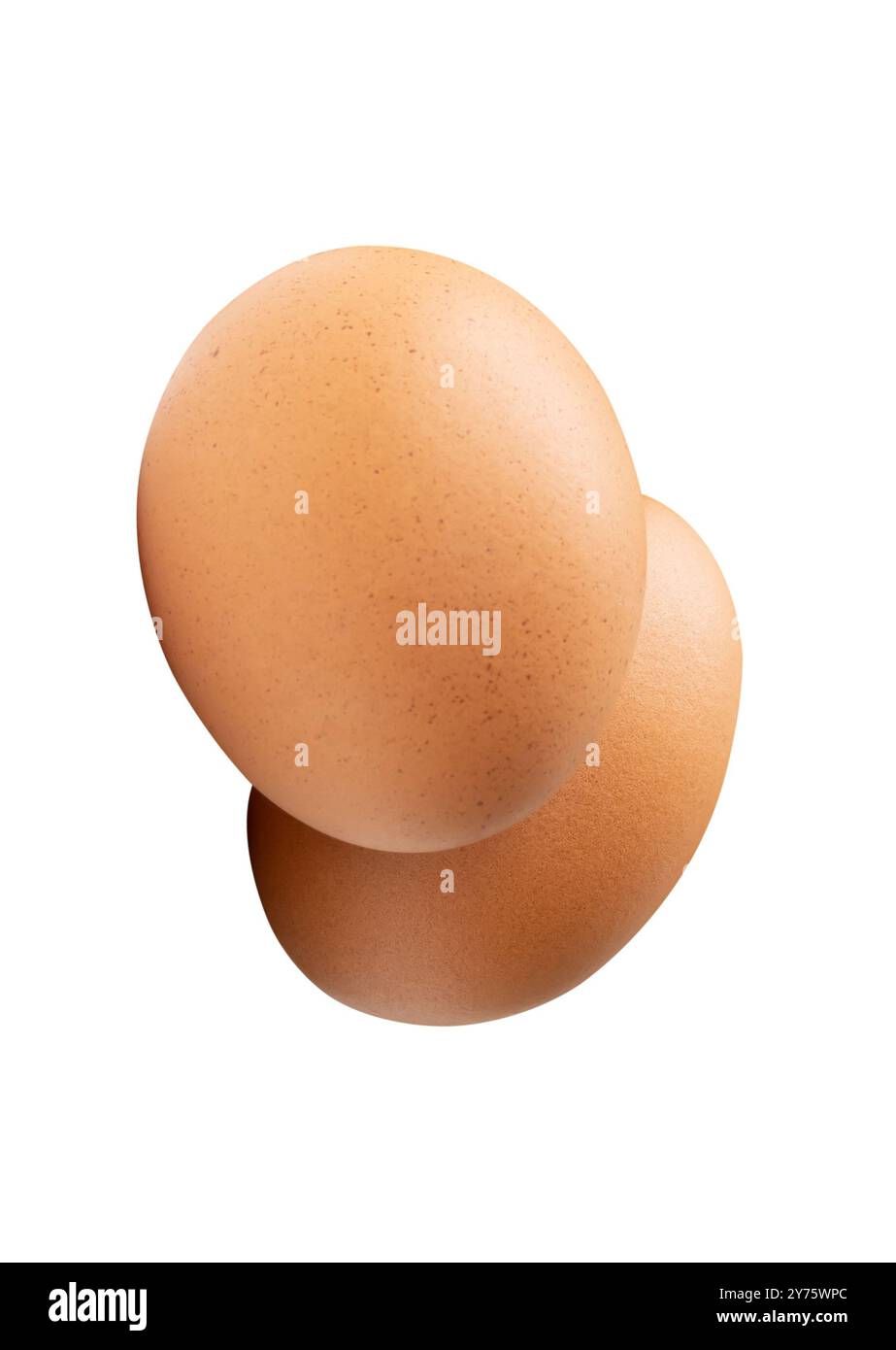 Side view of two fresh brown chicken eggs in stack is isolated with ...