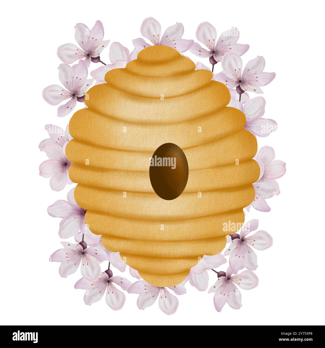 Bee hive watercolor. Hand drawn bee house with flowers on isolated ...