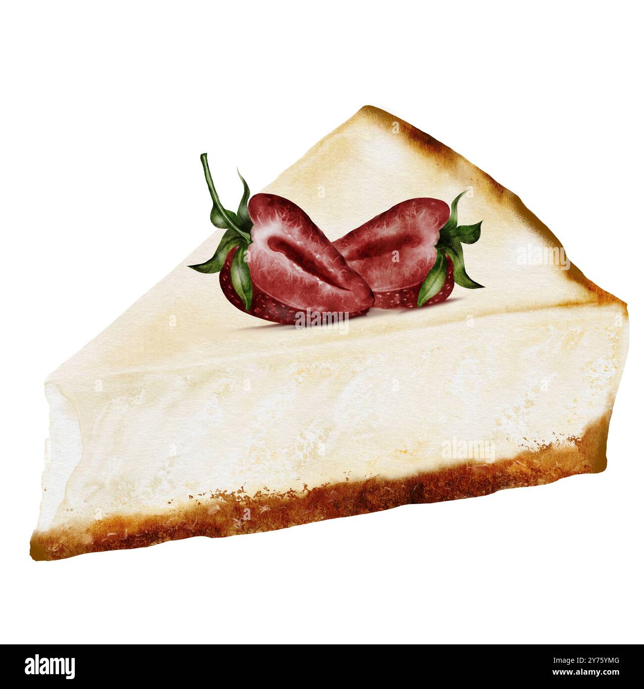 Classic cheesecake. Watercolor illustration of New York cheesecake on ...