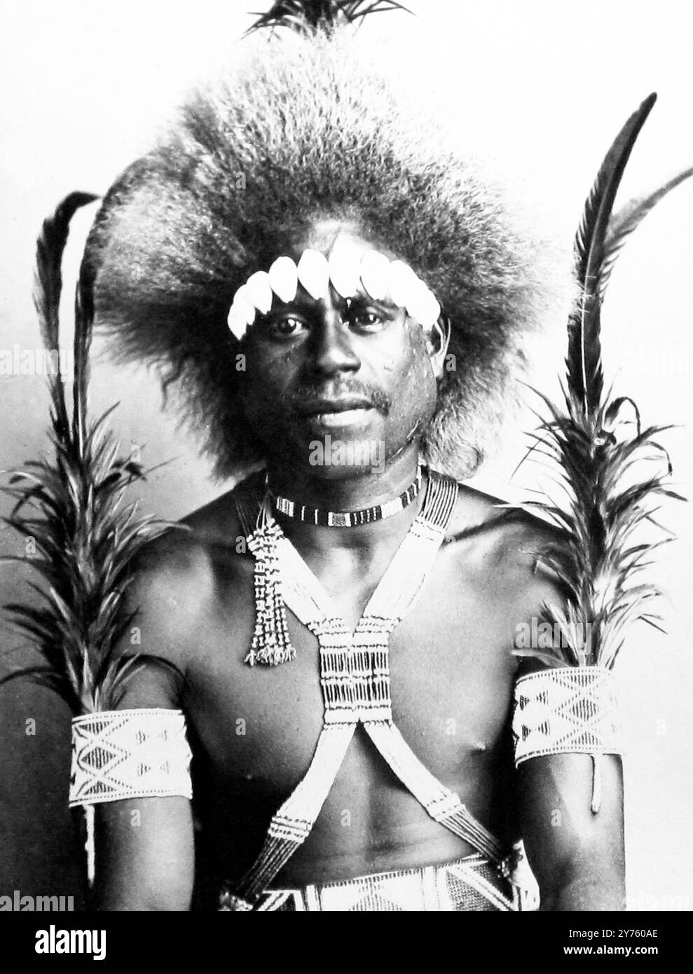 Village Chief wearing dancing costume, Solomon Islands, Victorian ...