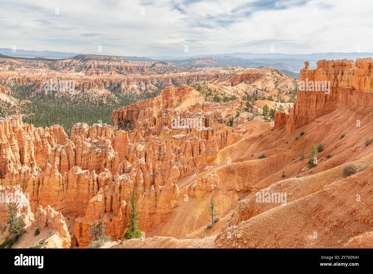 Bryce Canyon from the Windows Trail, Utah, USA Stock Photo - Alamy