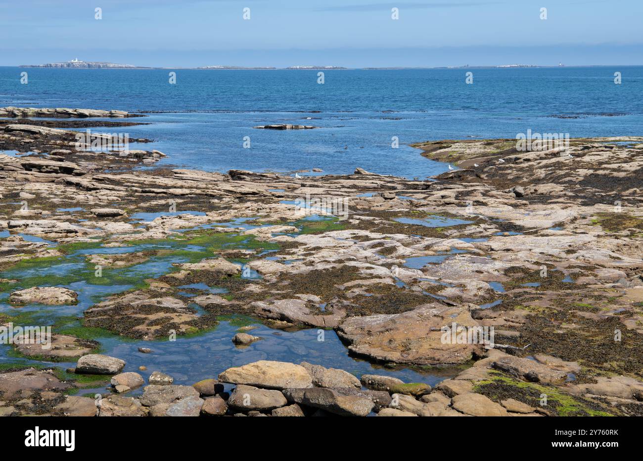 Low tide in the north sea with the Farne Islands on the horizon ...