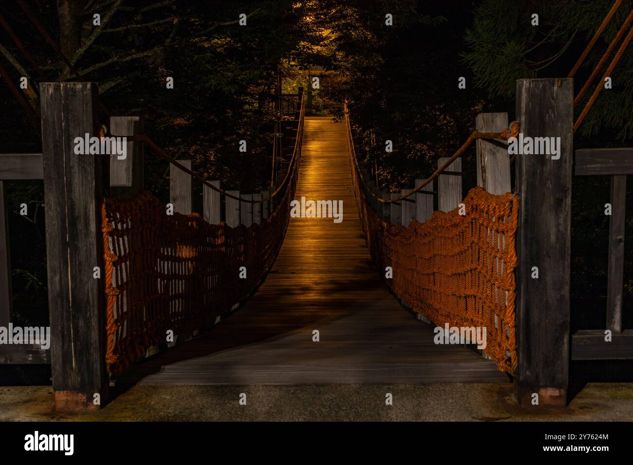 Night view of wooden footbridge across the Asuwa River, Ikeda, Imadate ...