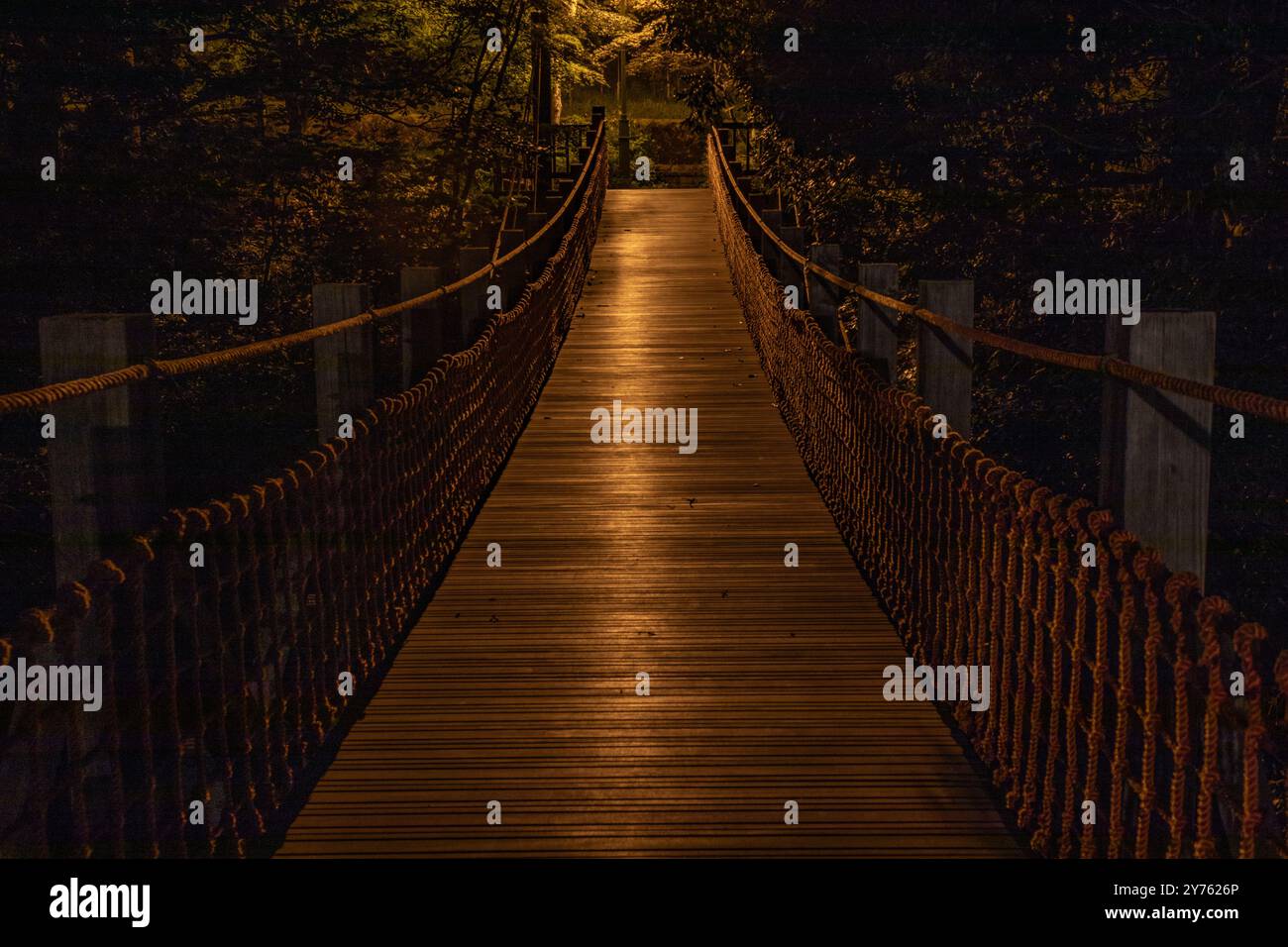 Night view of wooden footbridge across the Asuwa River, Ikeda, Imadate ...