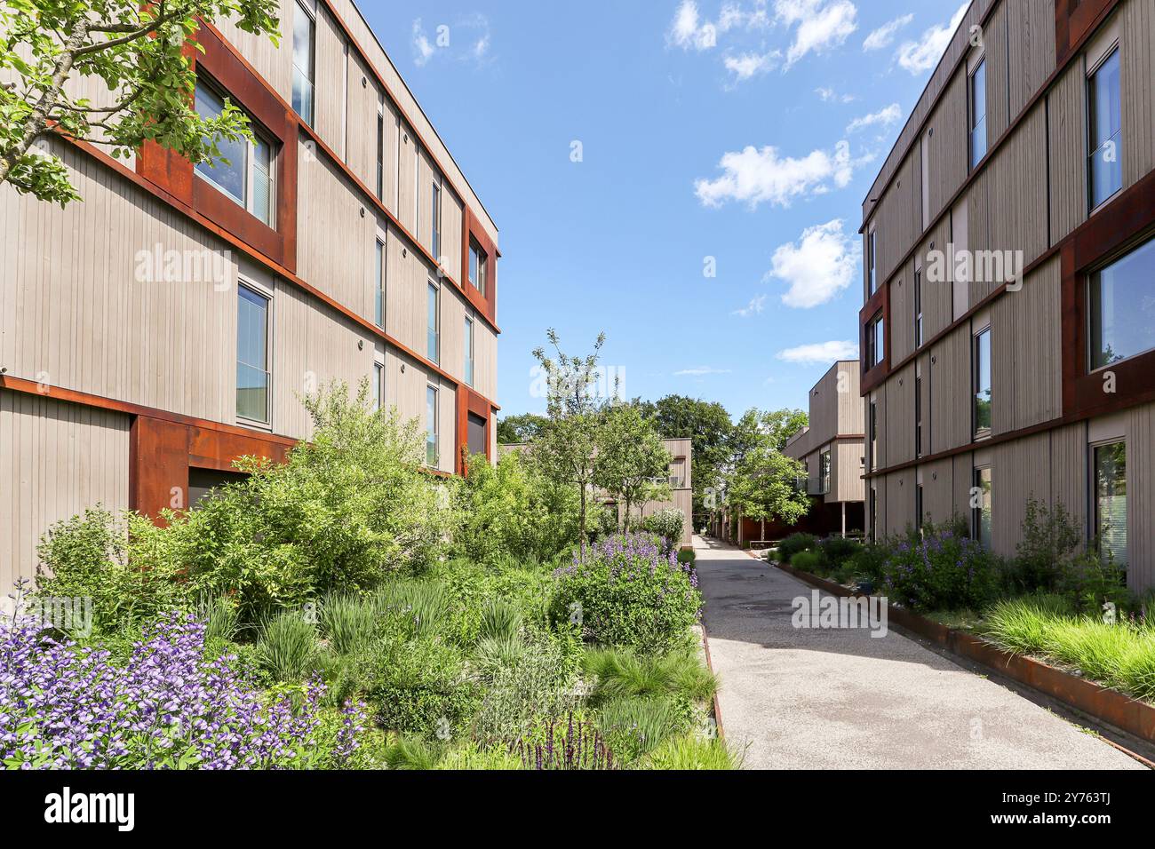 Residential area with ecological and sustainable green residential ...