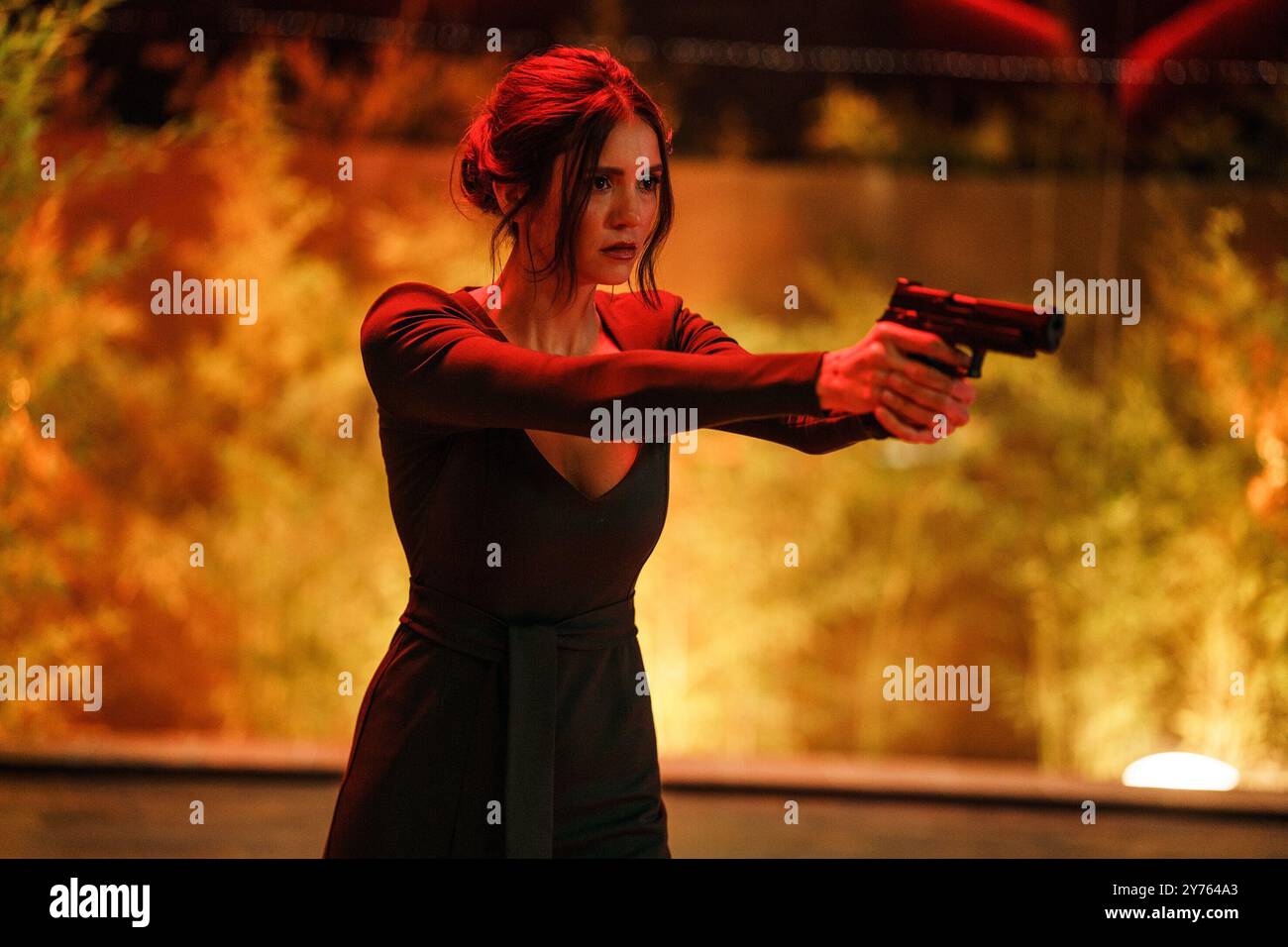 Nina dobrev the bricklayer hi-res stock photography and images - Alamy