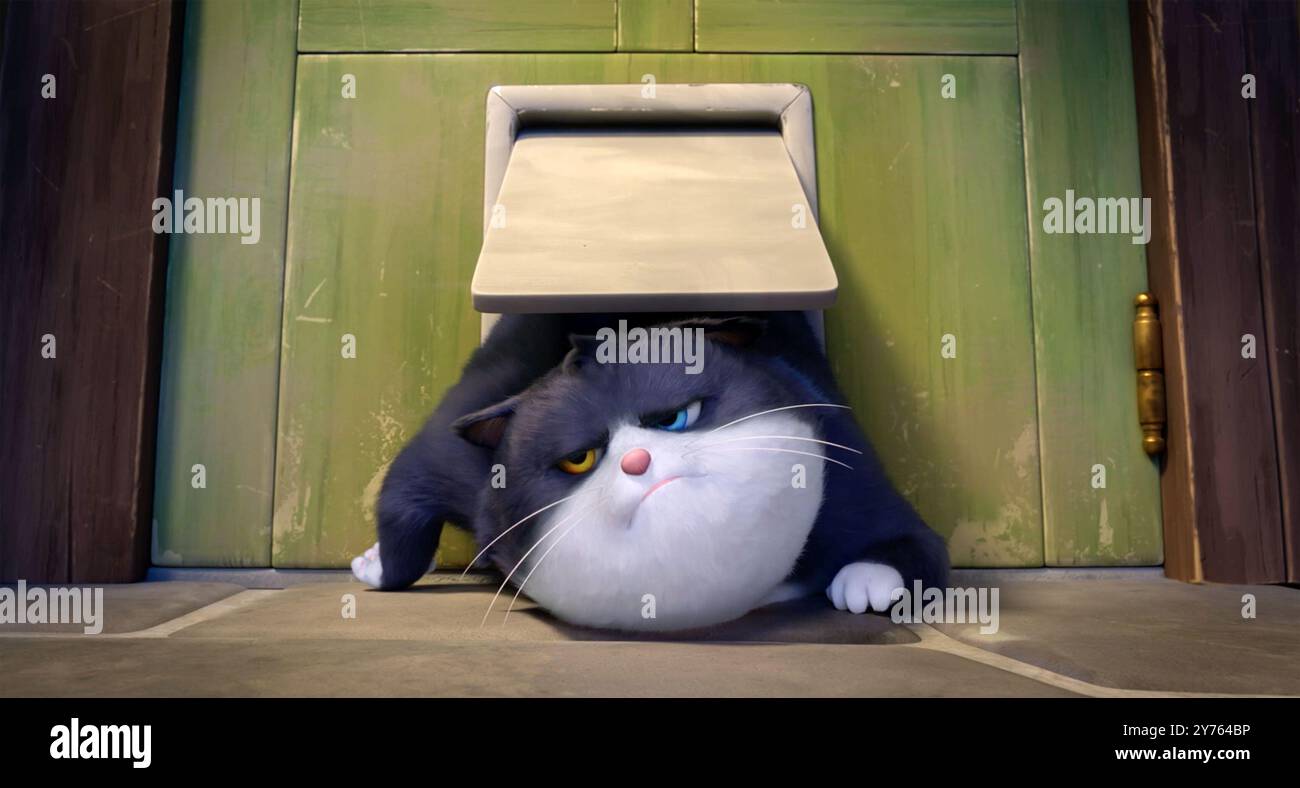 10 LIVES (2024), directed by MARK KOETSIER and CHRISTOPHER JENKINS ...