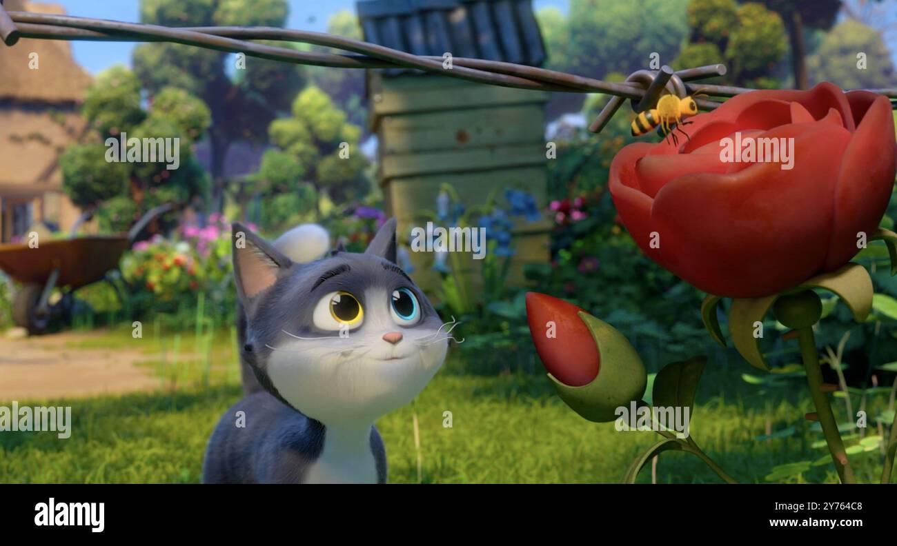 10 LIVES (2024), directed by MARK KOETSIER and CHRISTOPHER JENKINS ...