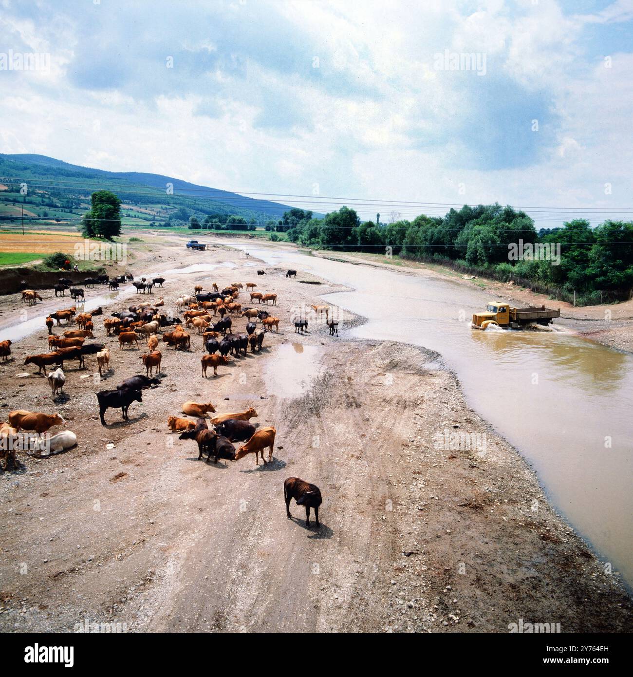 White drim hi-res stock photography and images - Alamy