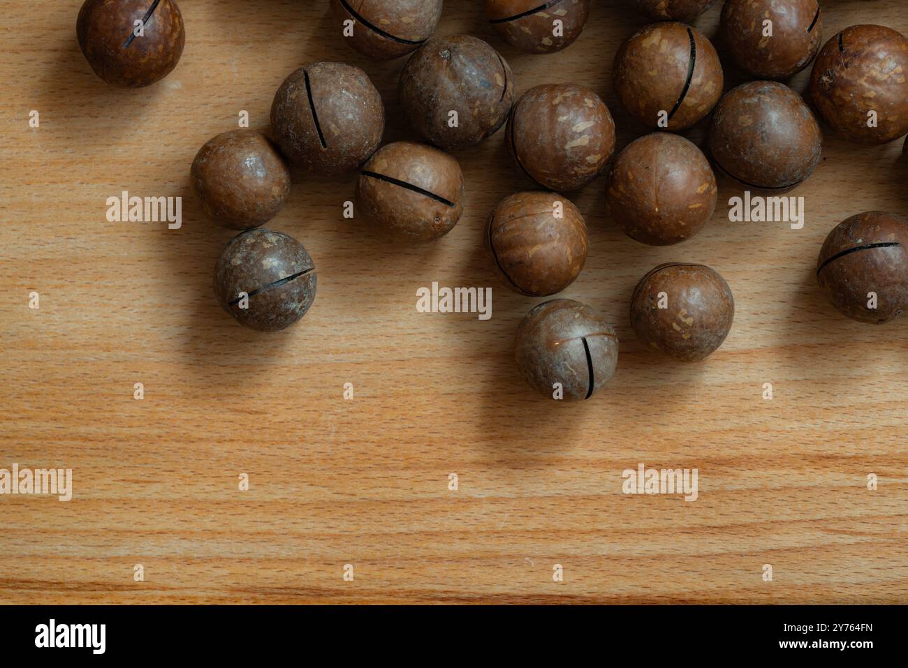 unpeeled macadamia nut textured background for design purpose Stock ...