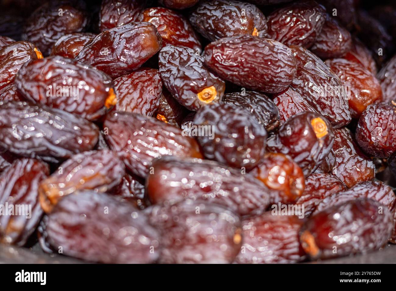 Fresh dates piled together in a natural setting, highlighting their ...