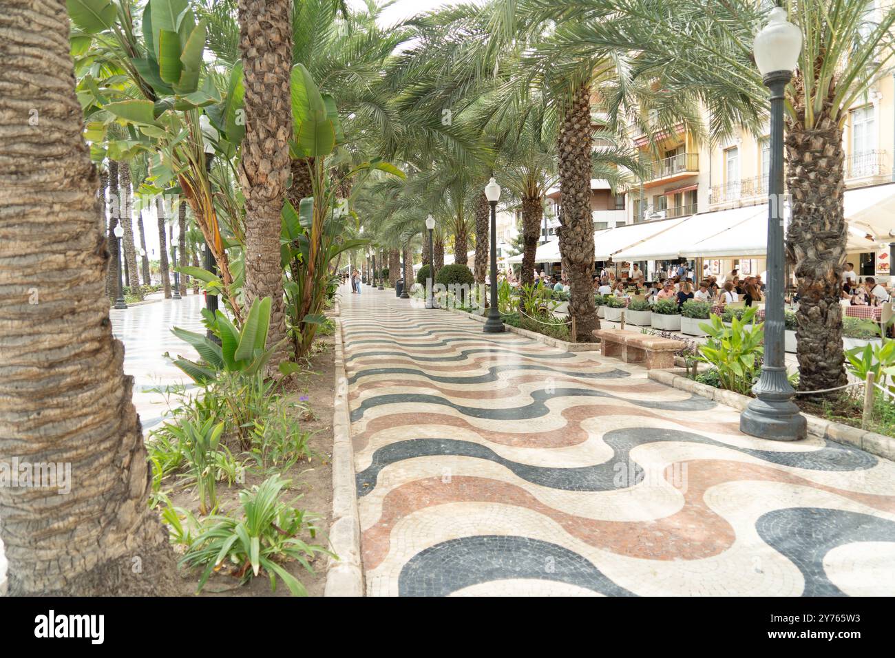 wavy marble pavement of the esplanade walk in Alicante Stock Photo - Alamy
