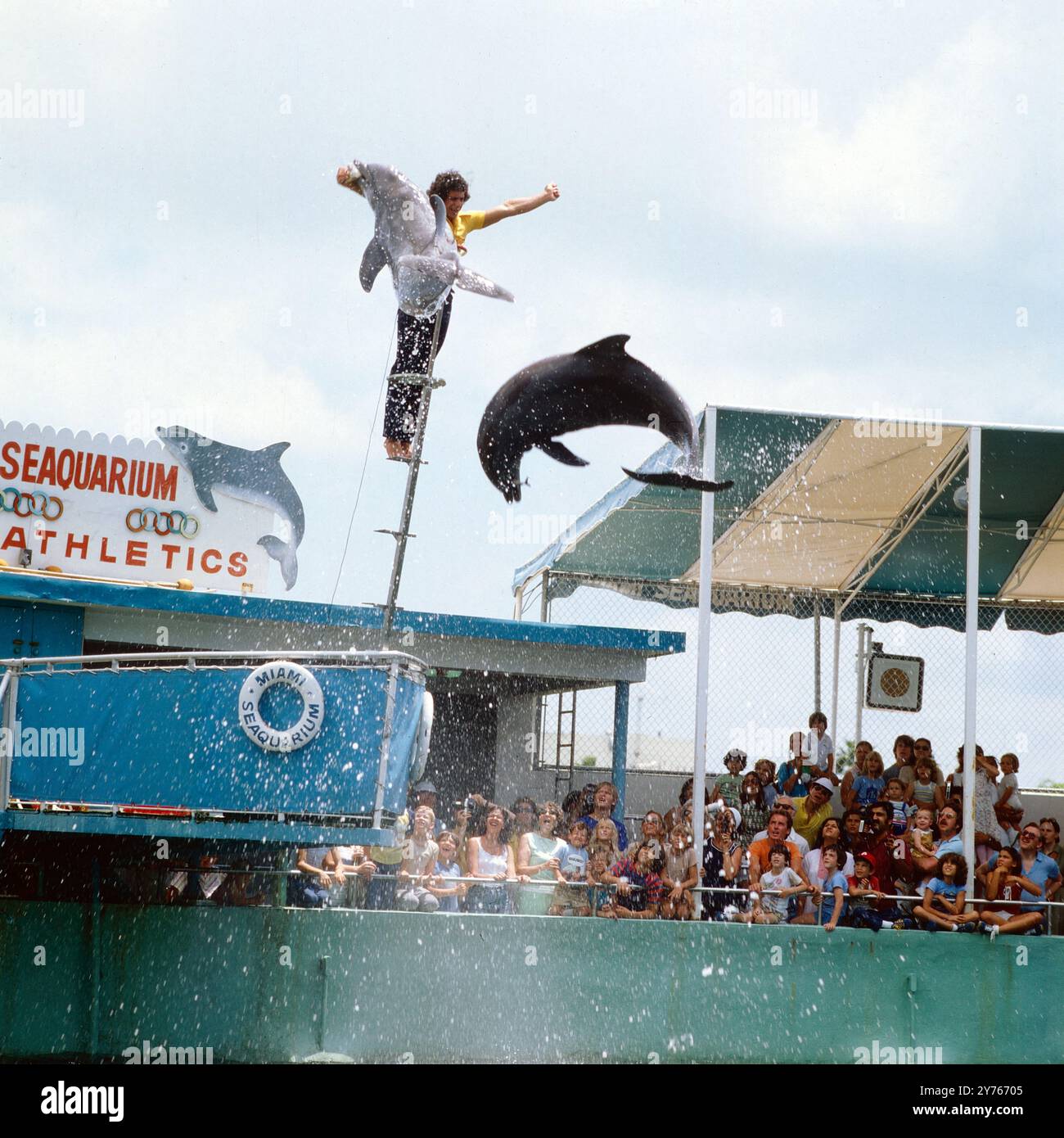 Delfinvorführung im Miami Seaquarium, Florida, USA um 1987 Stock Photo ...