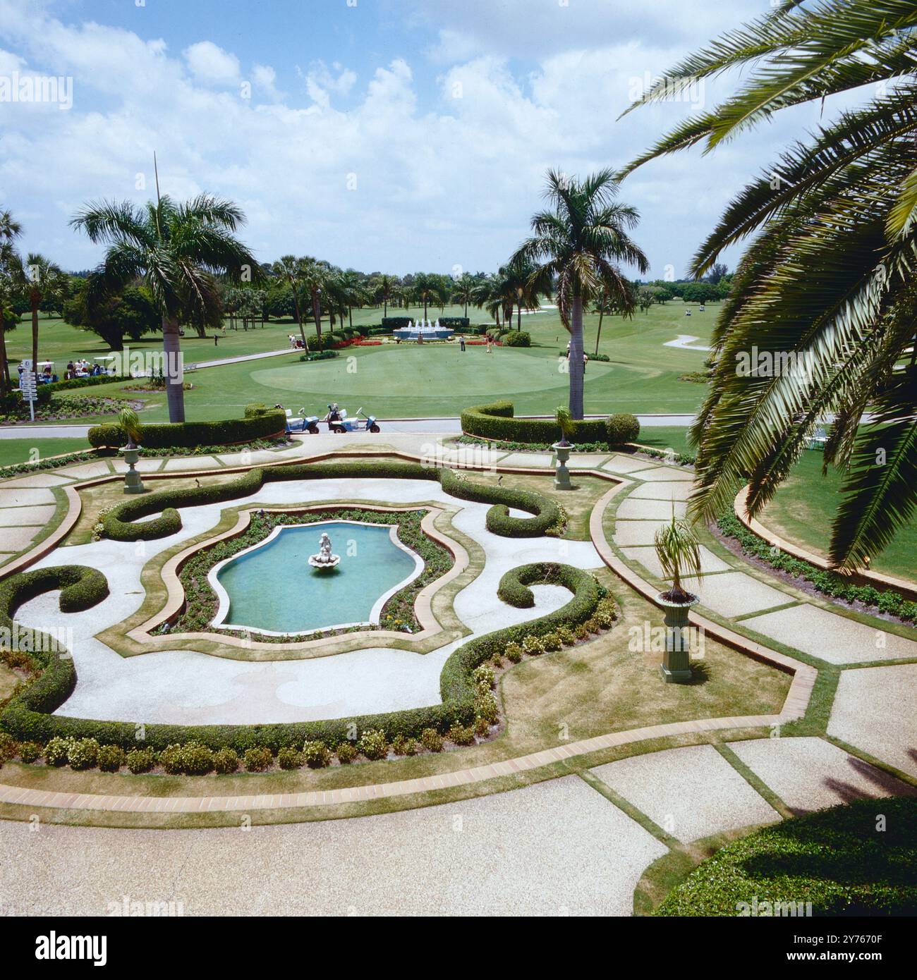 Palmen miami hi-res stock photography and images - Alamy