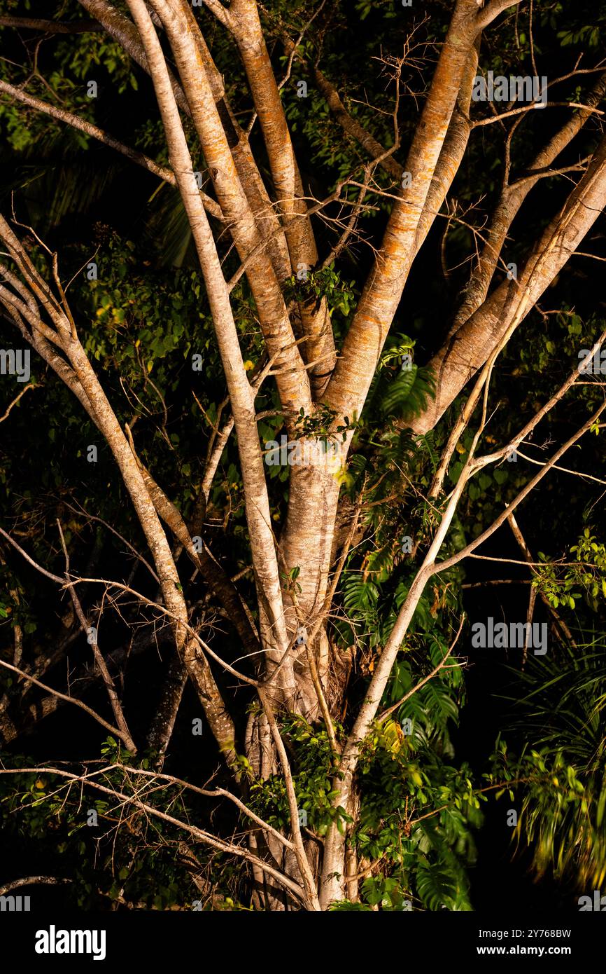 From below mysterious calm hi-res stock photography and images - Alamy