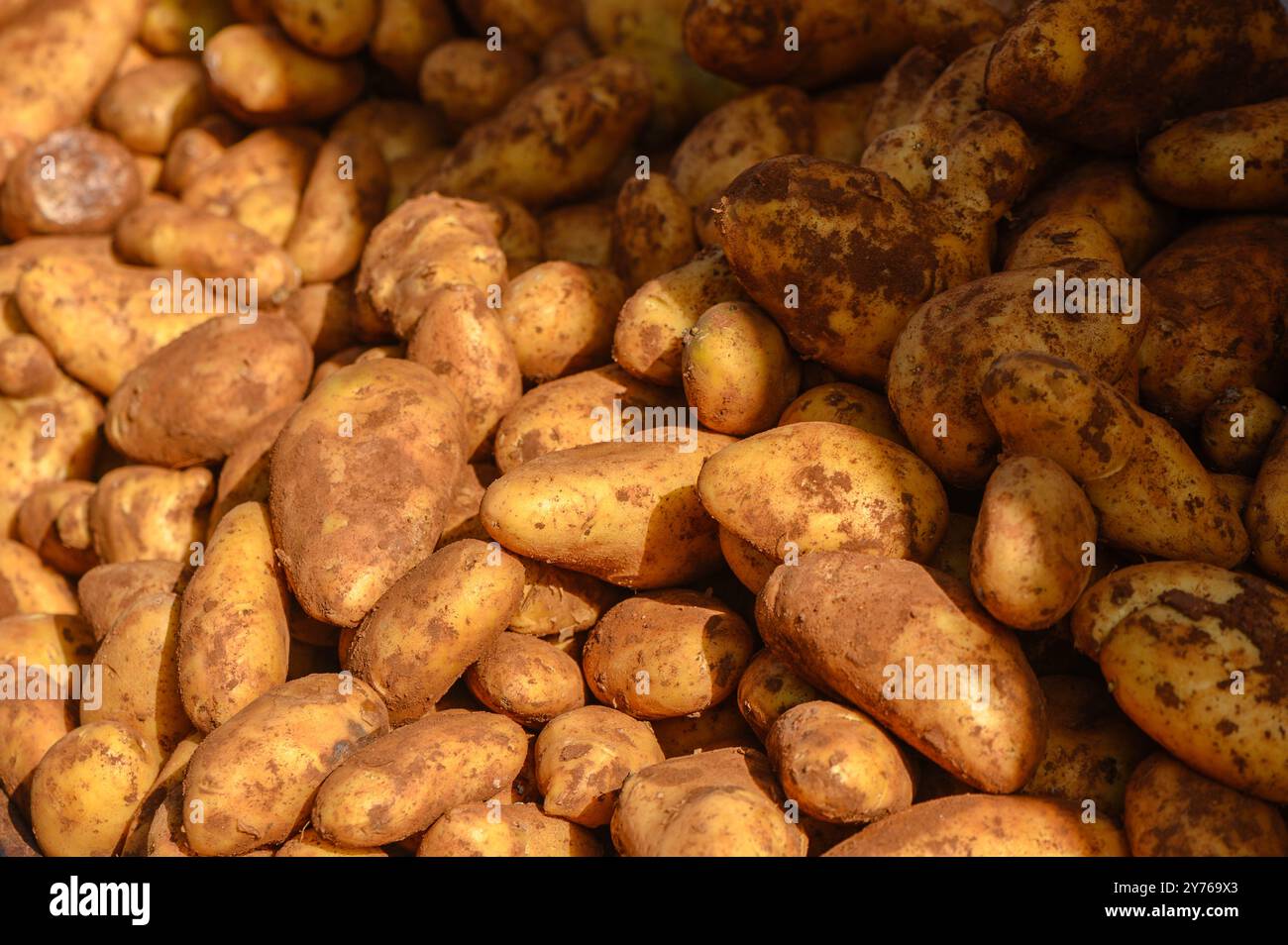 Superuser background hi-res stock photography and images - Alamy