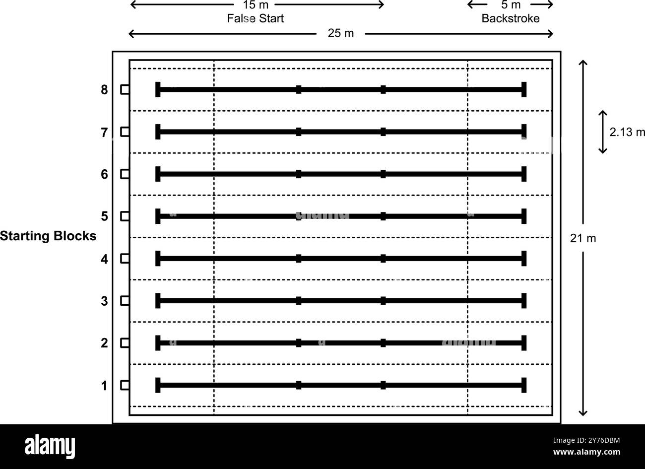 Olympic Swimming Pool Dimensions