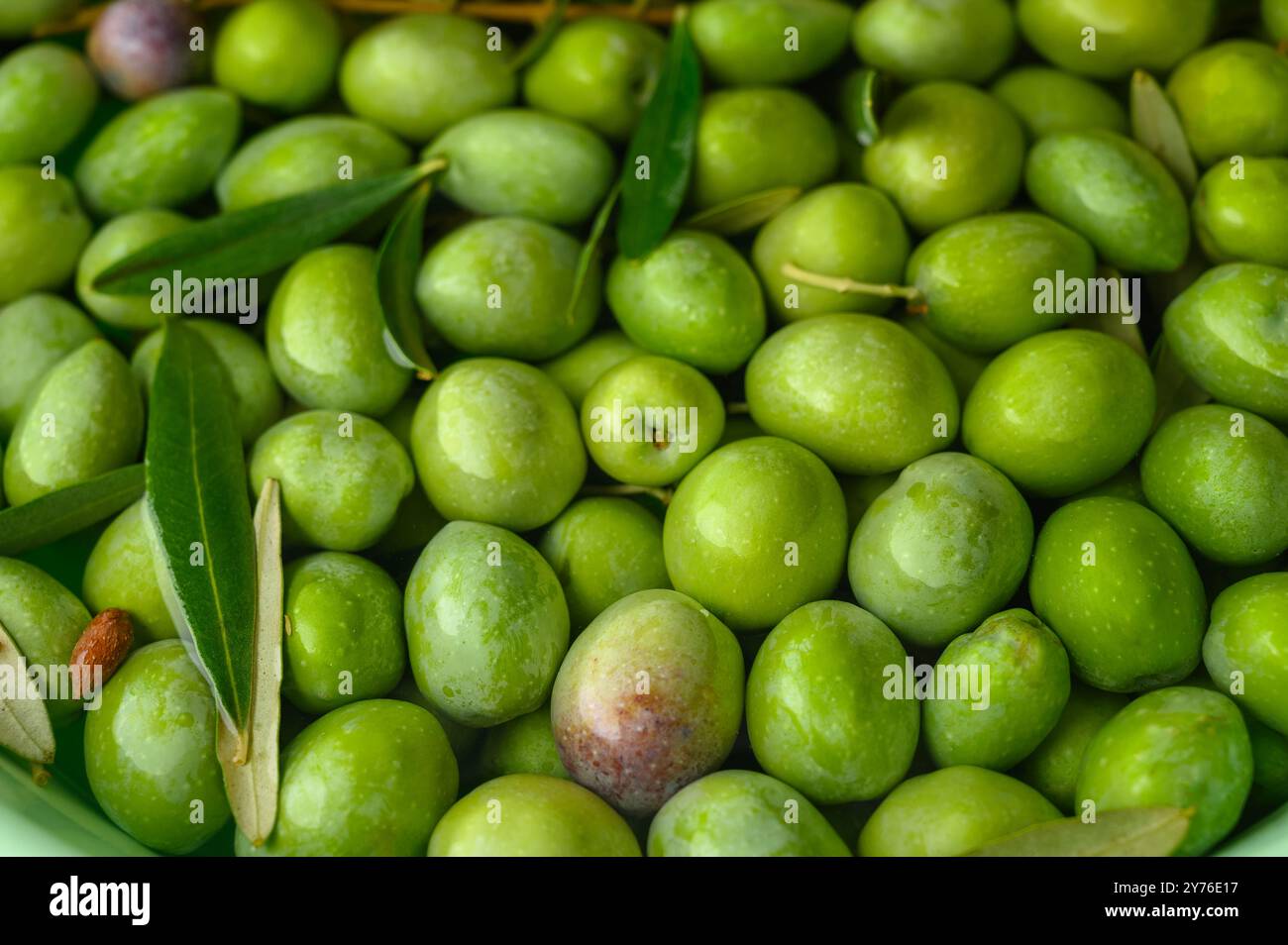 Green olives background full frame Stock Photo - Alamy