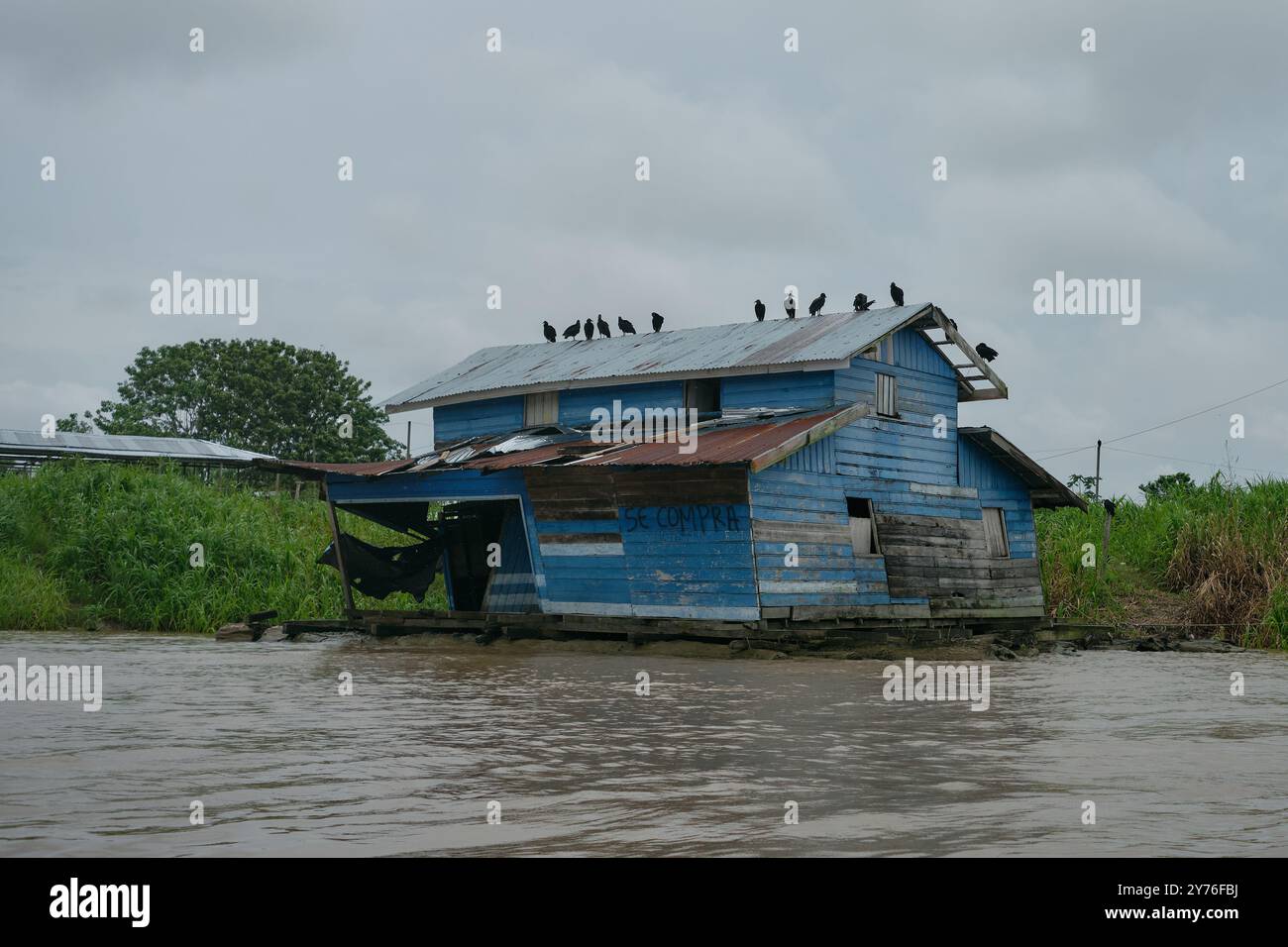 Floating house on Amazon river Stock Photo - Alamy