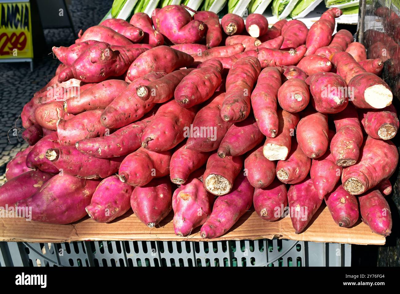 Purple sweet potatoes displayed in the grocery store, Rio de Janeiro ...
