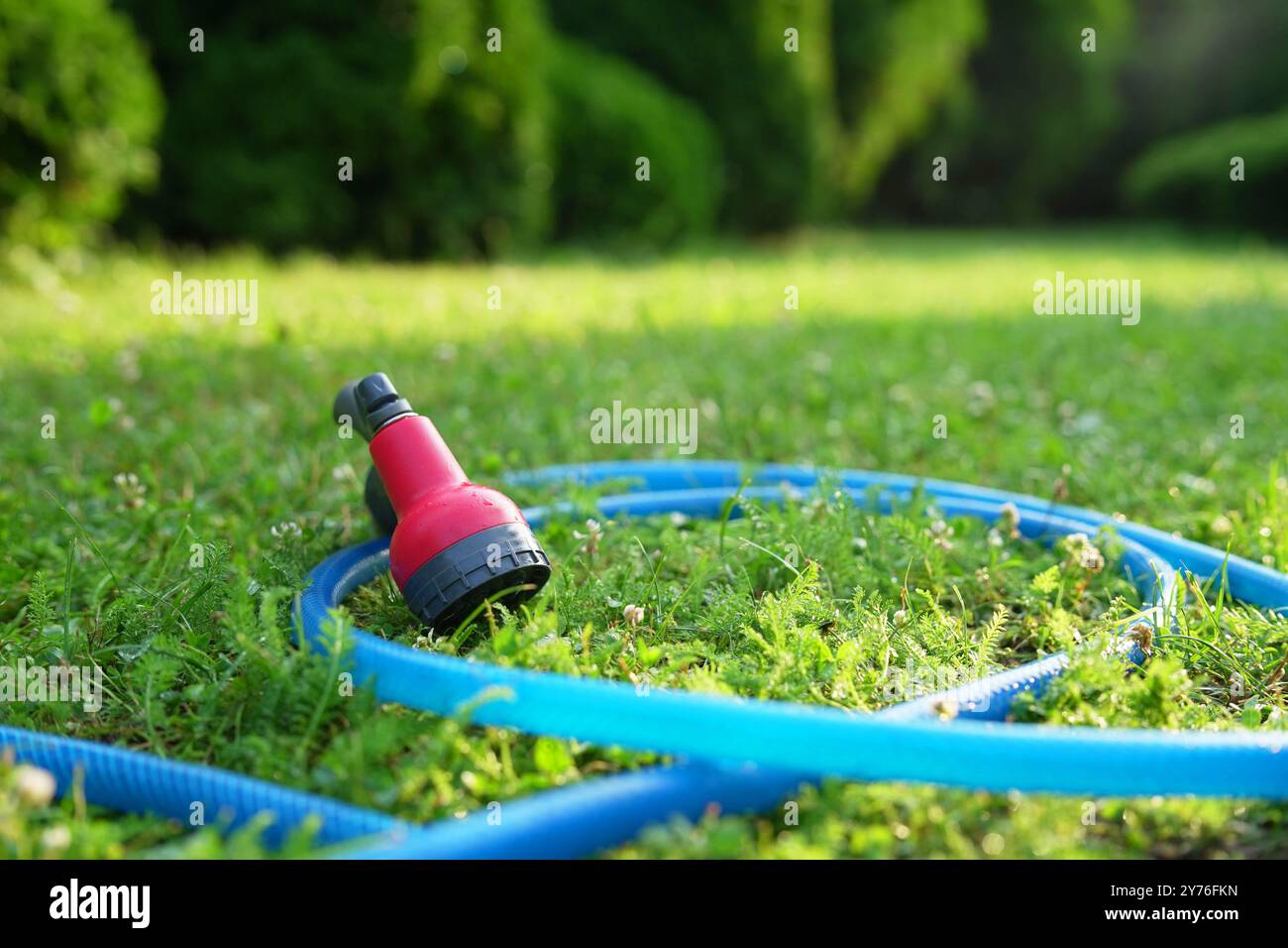 Light blue hose on lawn in backyard, closeup Stock Photo - Alamy