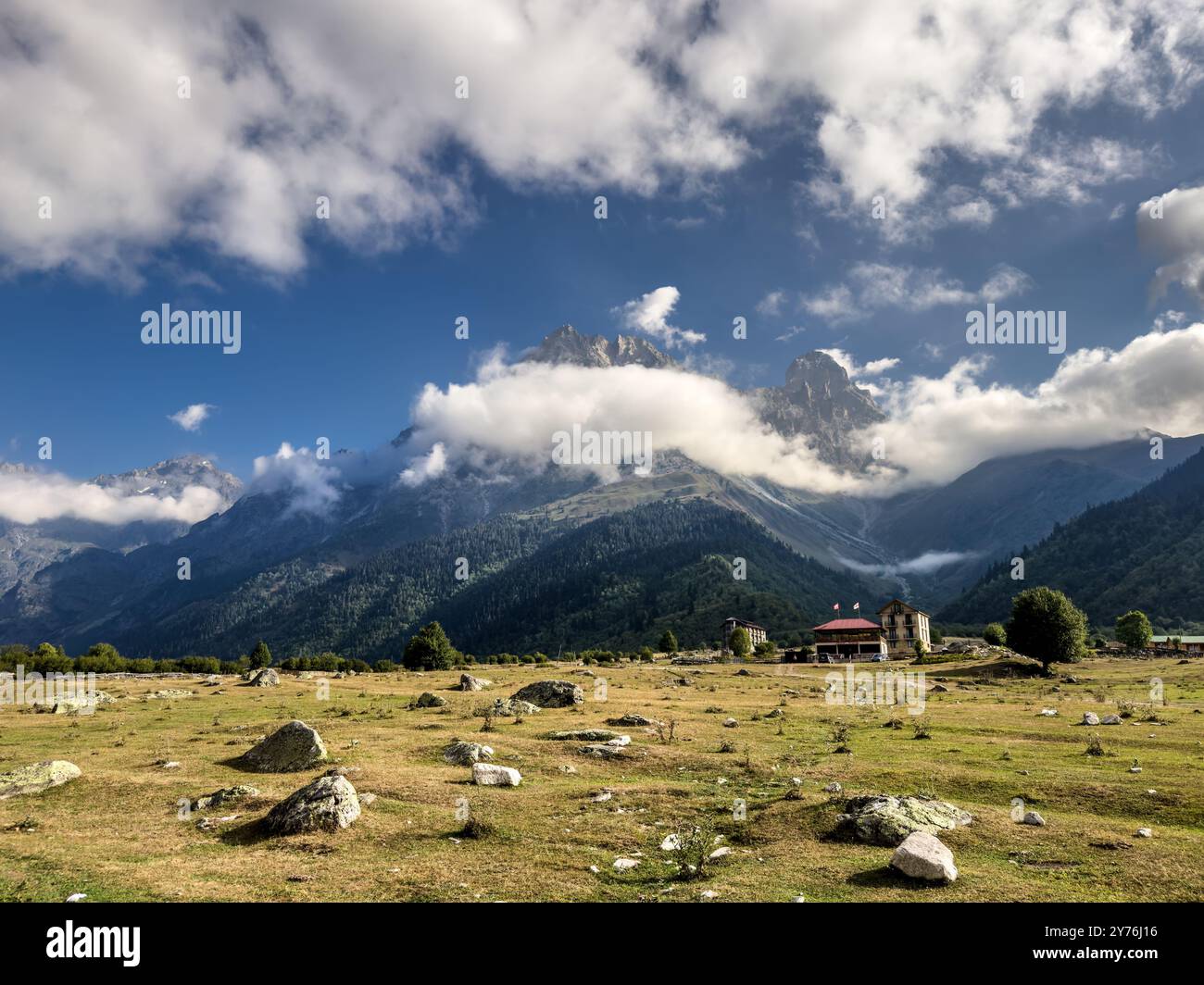 Alpine Meadow and Mountain Landscape Stock Photo - Alamy
