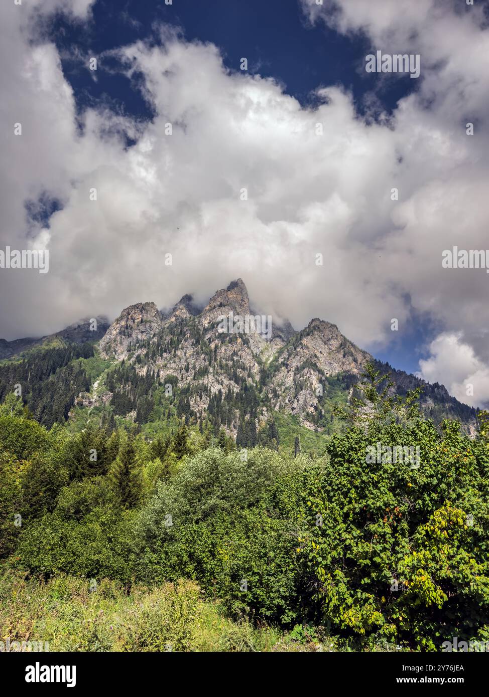 Alpine Meadow and Mountain Landscape Stock Photo - Alamy
