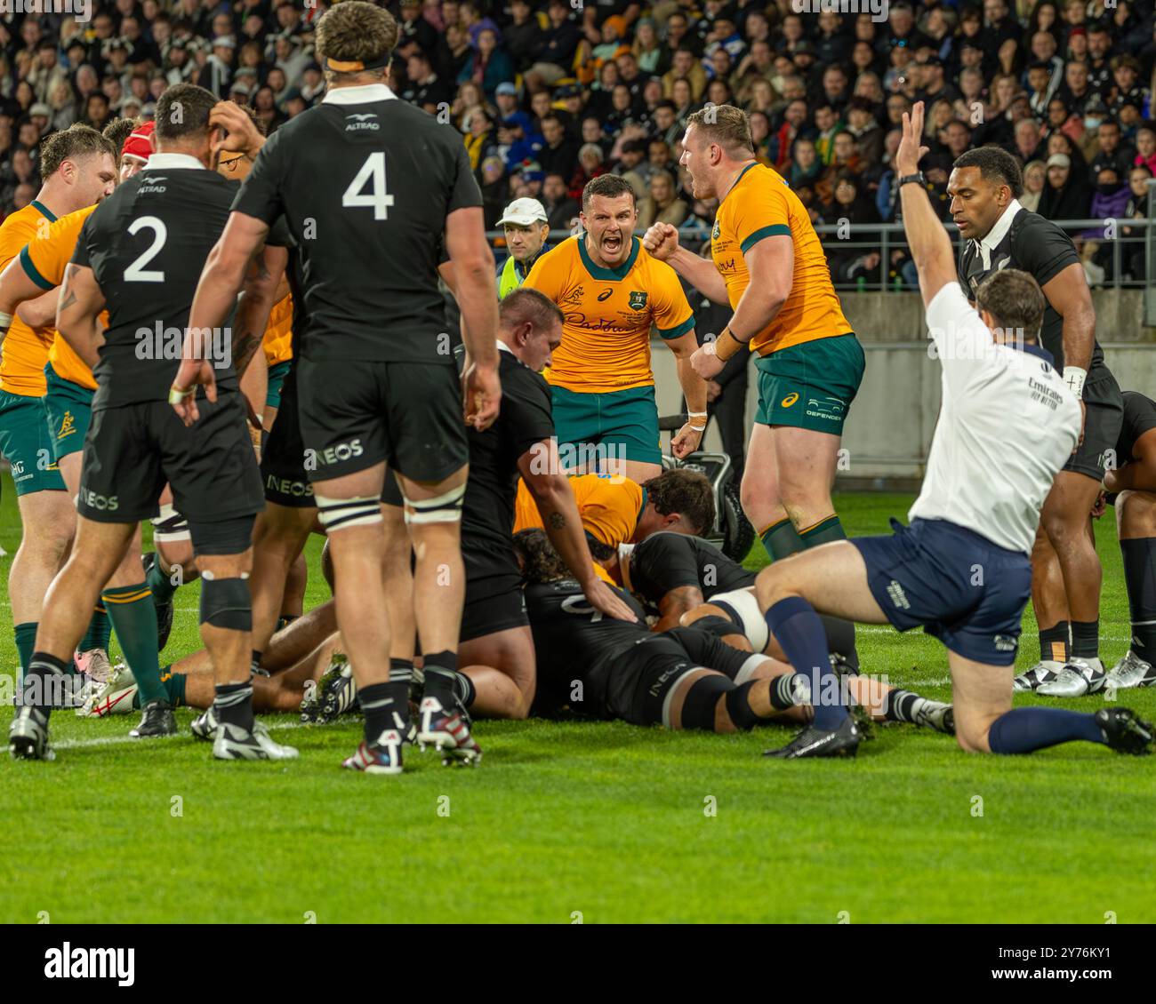 All blacks wallabies referee hi-res stock photography and images - Alamy