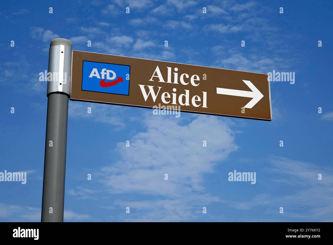 Wegweiser mit AfD-Logo und Schriftzug Alice Weidel Wegweiser mit AfD ...