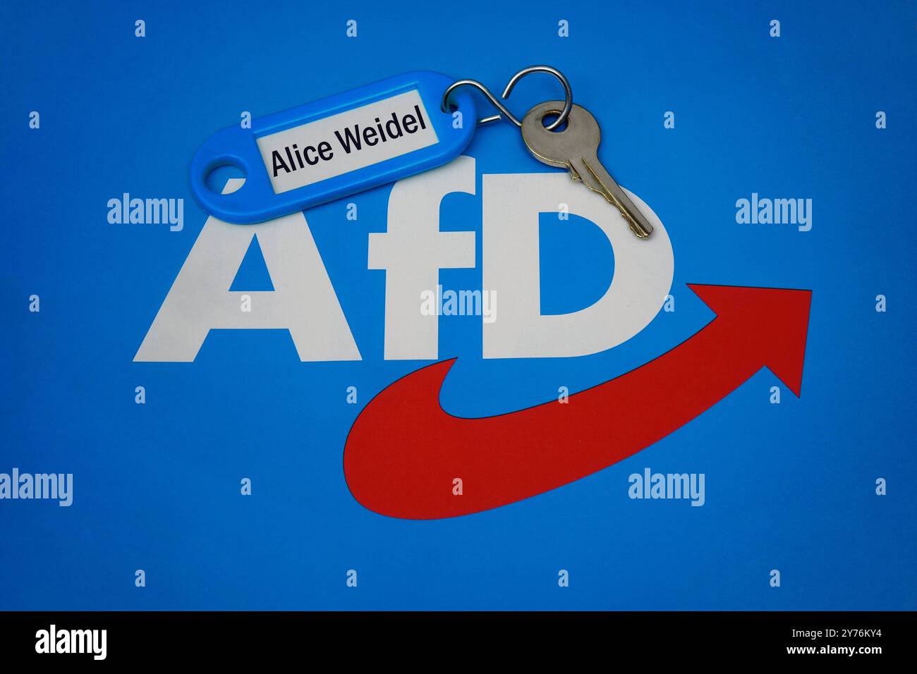AfD-Logo und Schlüsselanhänger mit Alice Weidel AfD-Logo und ...