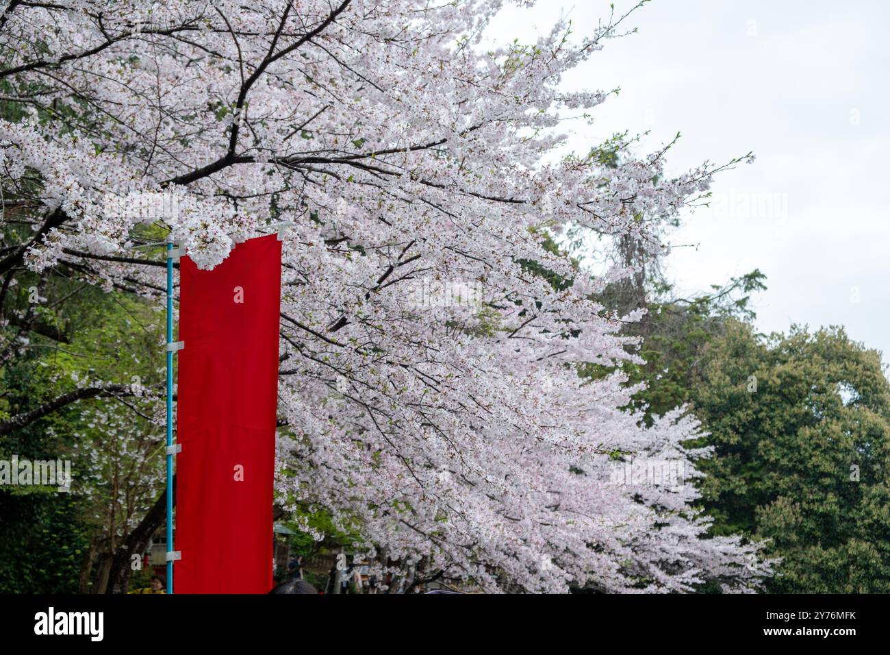 Empty red sign hi-res stock photography and images - Alamy