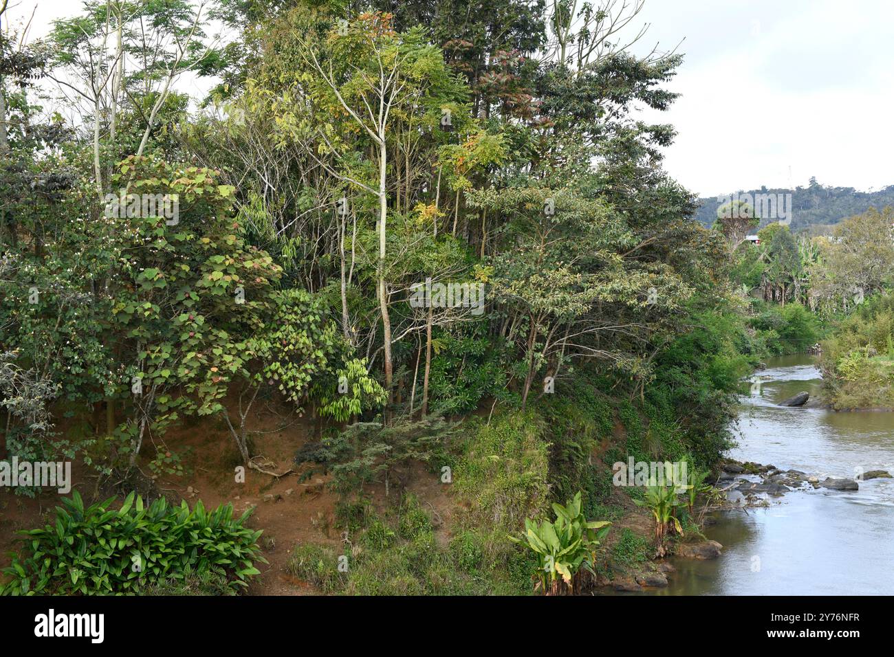 Andasibe, rural municipality. Vohitra river. Moramanga, Alaotra-Mangoro ...