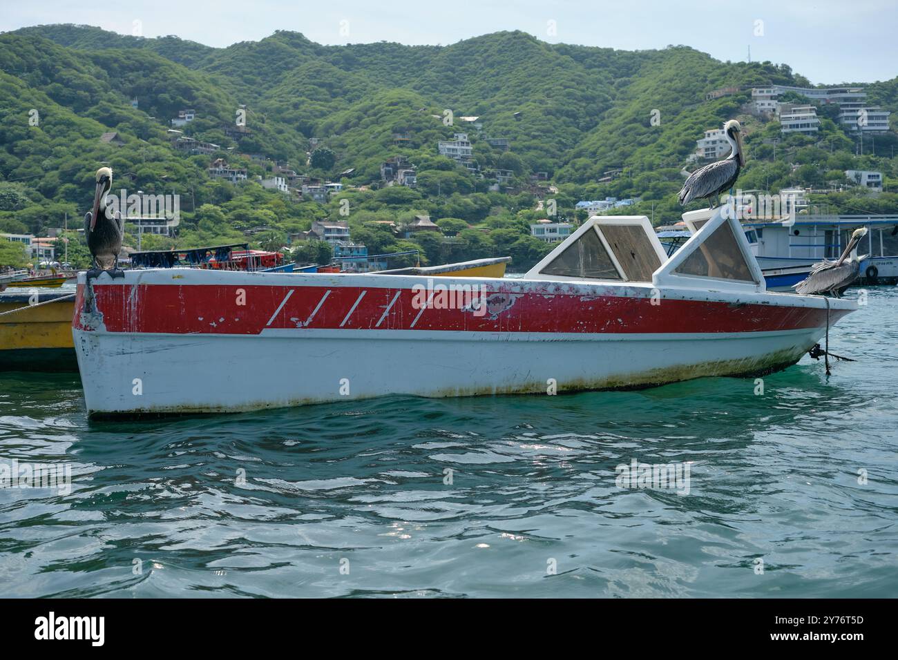 boat docking at bahia concha in Tayrona Park, Colombia Stock Photo - Alamy