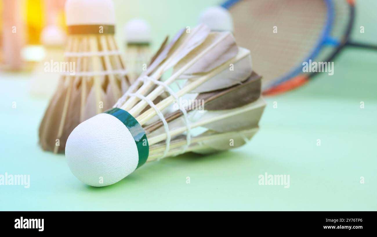 Closeup badminton shuttlecock and badminton racket on green background ...