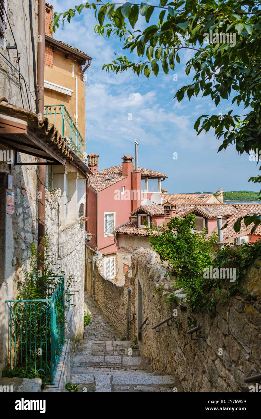 Meandering through the picturesque alleyways of Rovinj, vibrant ...