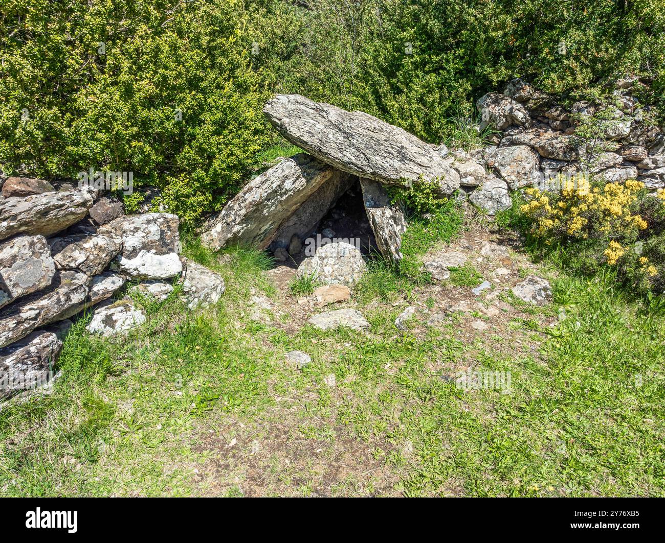 Dolmen de Letrans, a megalithic structure from the Neolithic period in ...