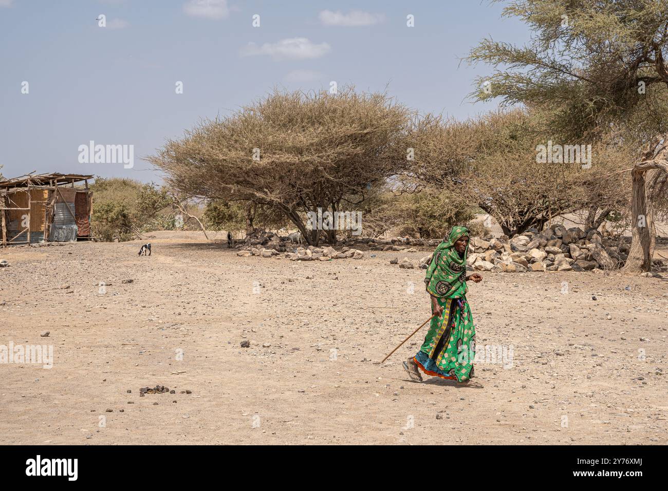 Rural african village life in small village, Danakil depression, Afar ...